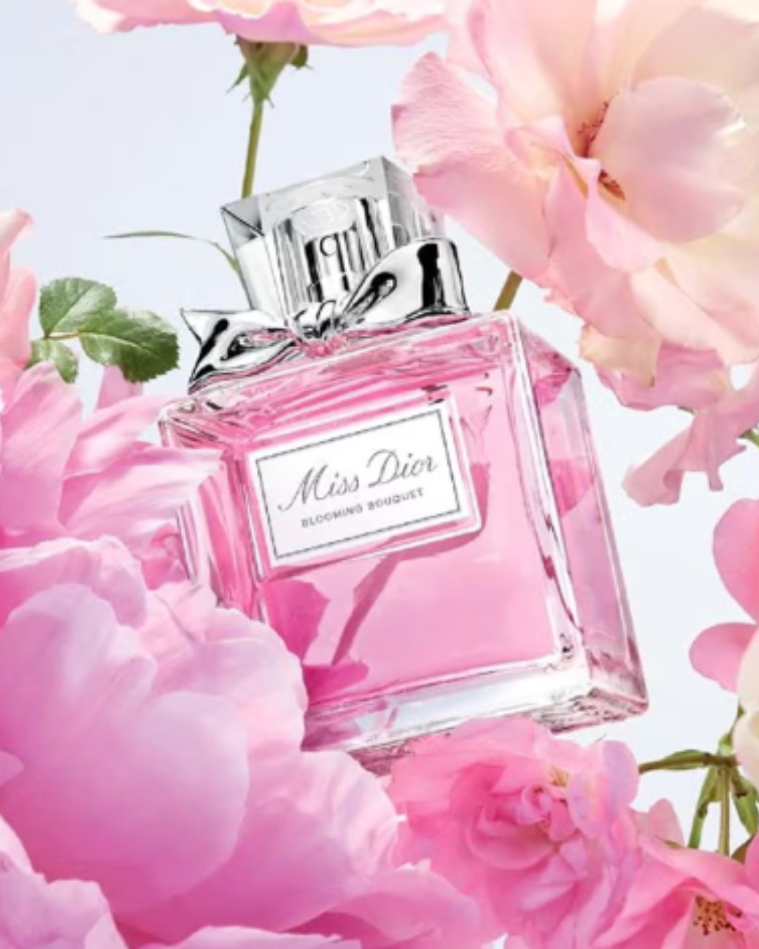 We’ve rounded up 5 stunning perfumes on Noon using LVN code