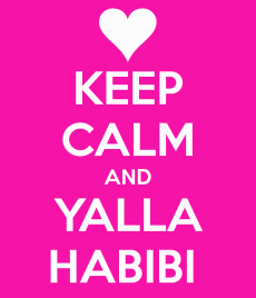 16 Arabic Phrases Every Expat Needs To Know
