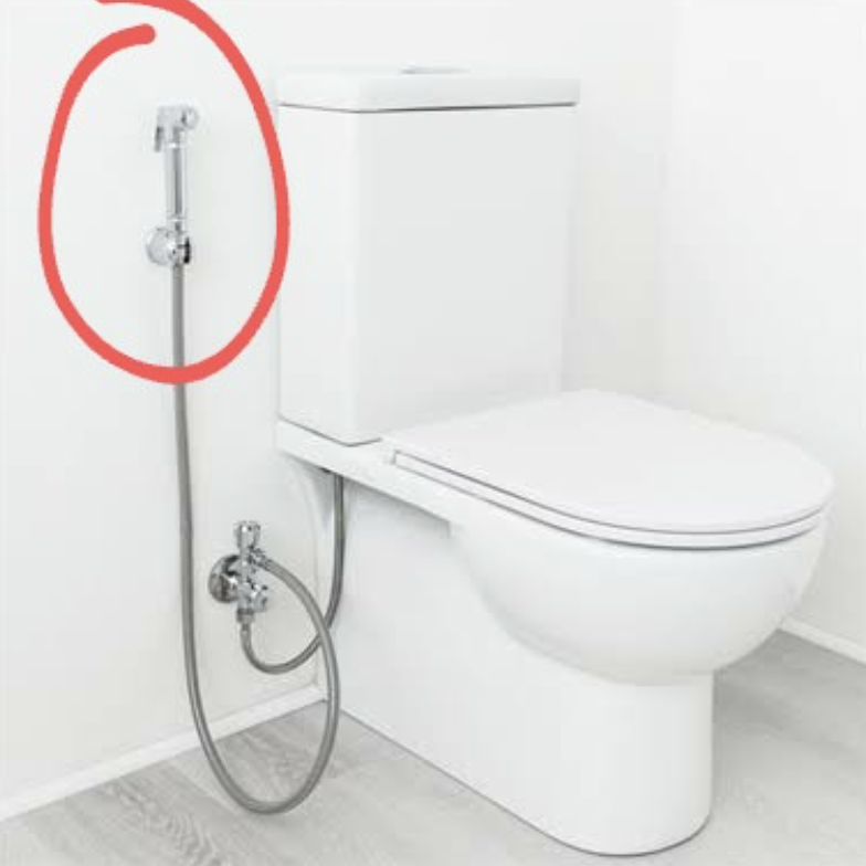 An Influencer Uses A Bidet In Dubai And Leaves Twitter Mistified