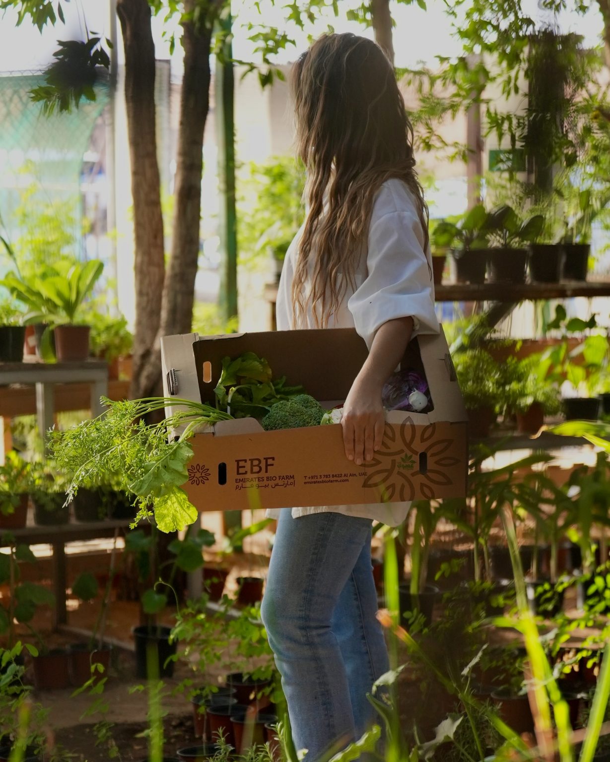 Have An Unforgettable Family Fun Day And Enjoy Unique Farm Experiences ...