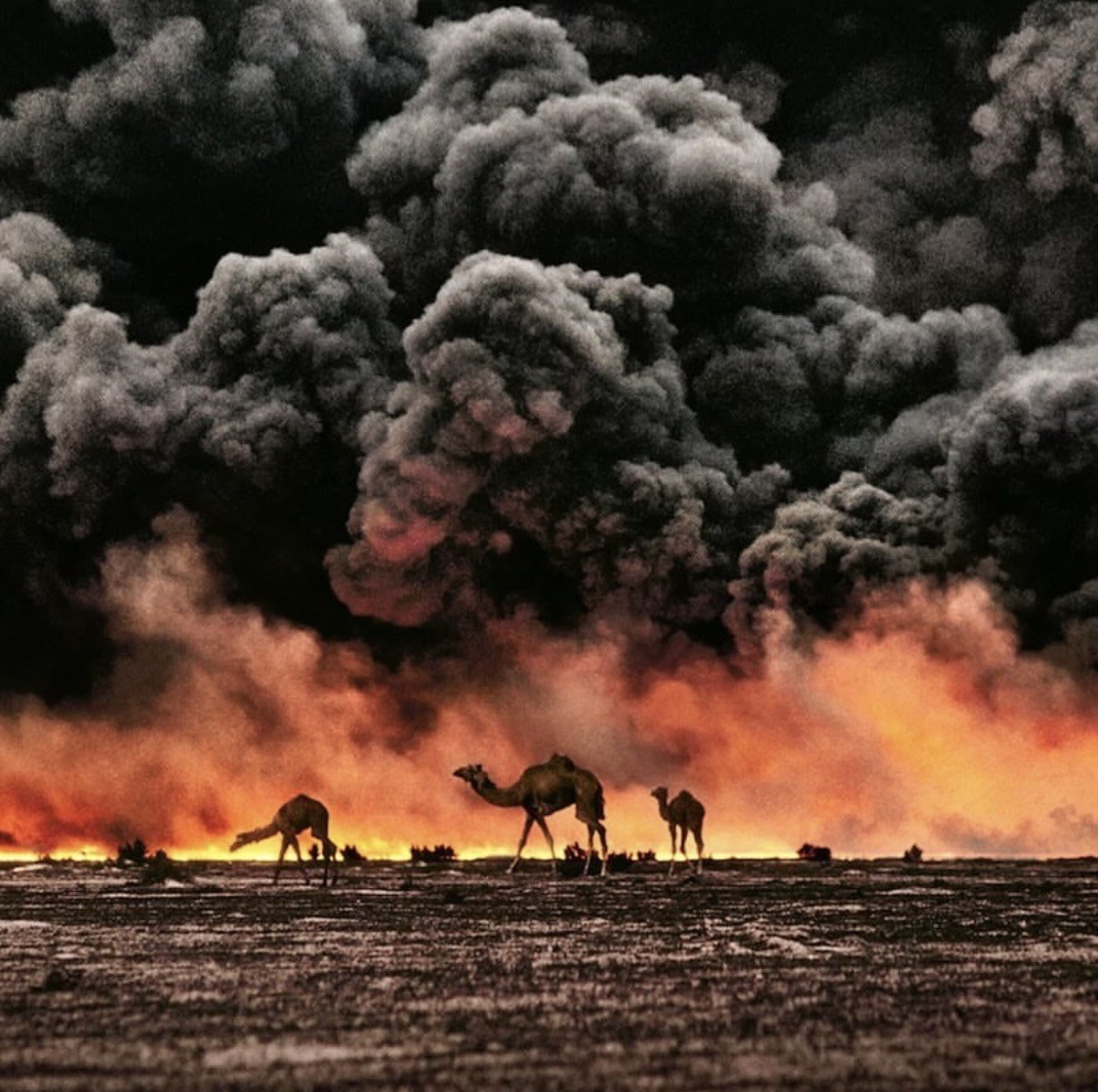 The Remarkable Transformation of Kuwait: From War-Torn to Wonderful