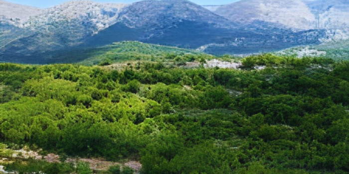 8 Natural Reserves To Explore This Weekend In Lebanon