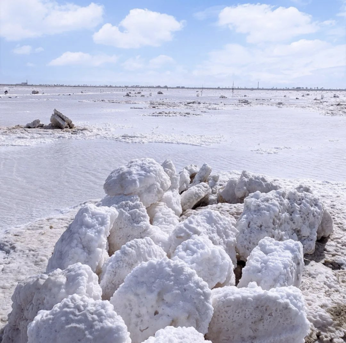 5 Of The Best Nature Spots In Jeddah
