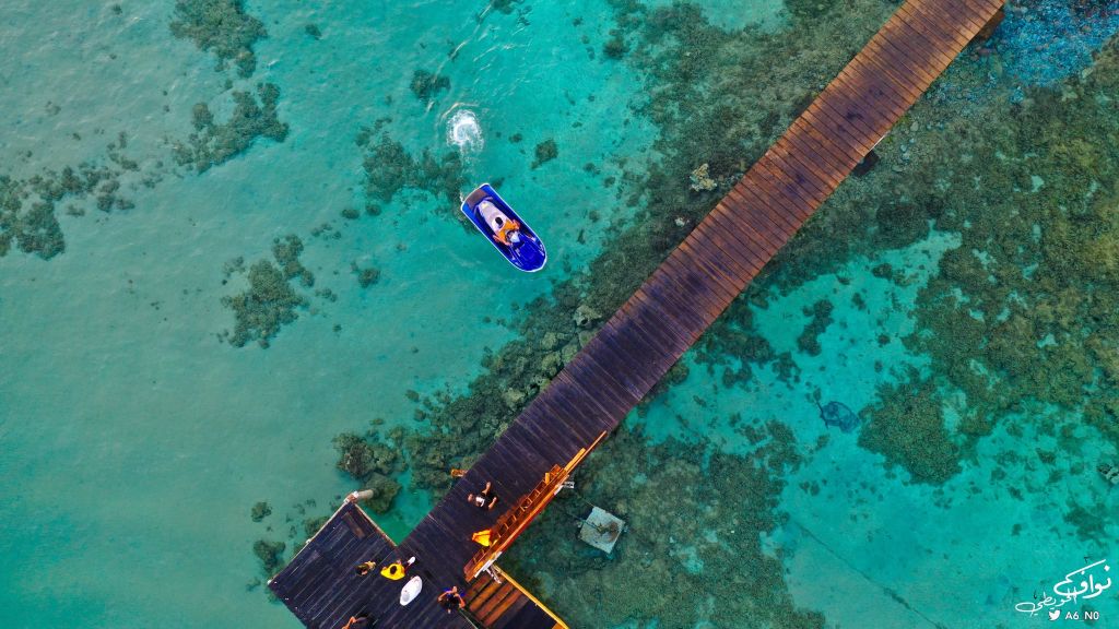 A Series Of Images Proves Just How Beautiful Neom Really Is