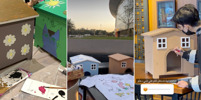 This Platform Helps And Saves Lost And Stray Cats In Riyadh